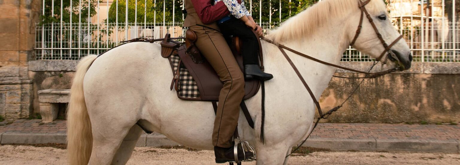 Le cheval Camargue : un symbole camarguais